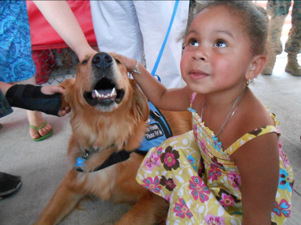 Therapy dogs help ease suffering worldwide. - The World from PRX