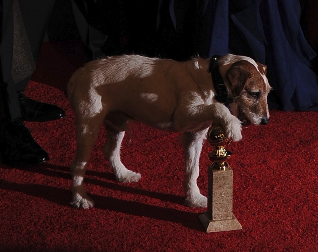 Oscars: The Artist a big score for a very French film - The World from PRX