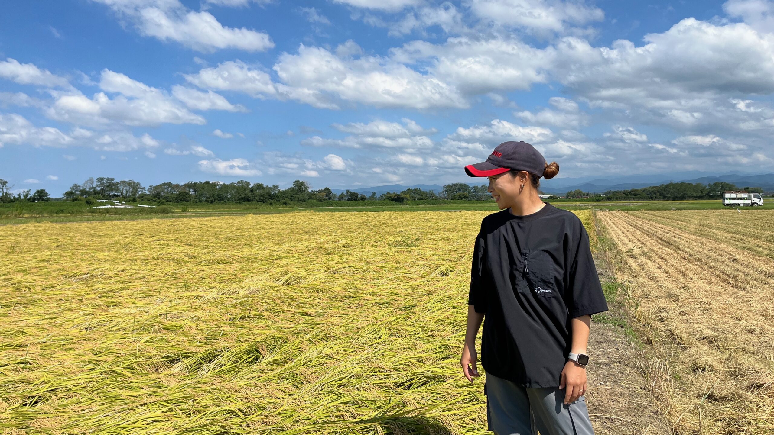 Rice shortage shines spotlight on Japan’s agricultural policy - The ...