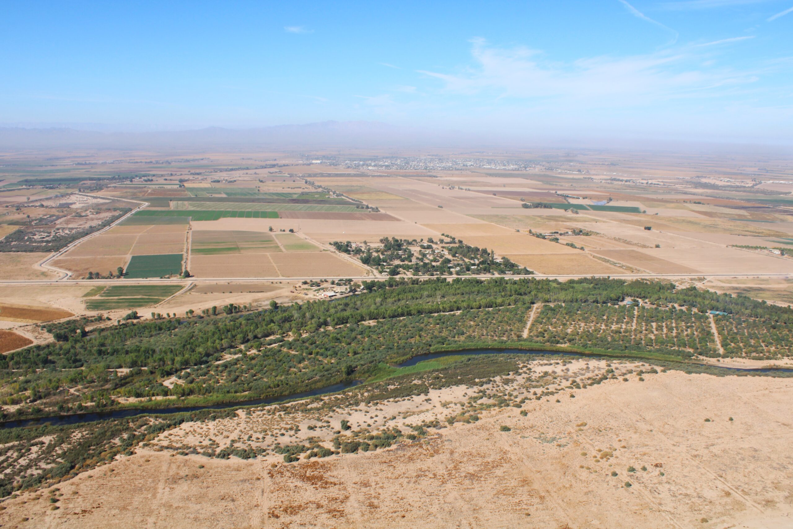 In the dry Colorado River Delta, the future of these green oases hangs ...