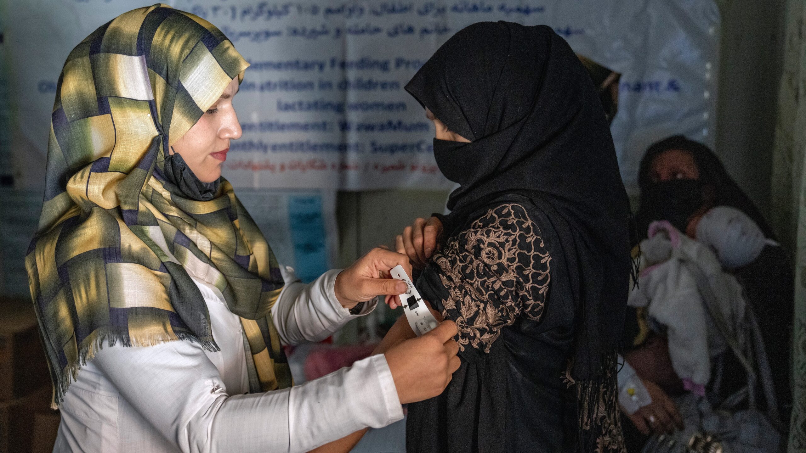 Women in Afghanistan can no longer attend medical institutes - The ...