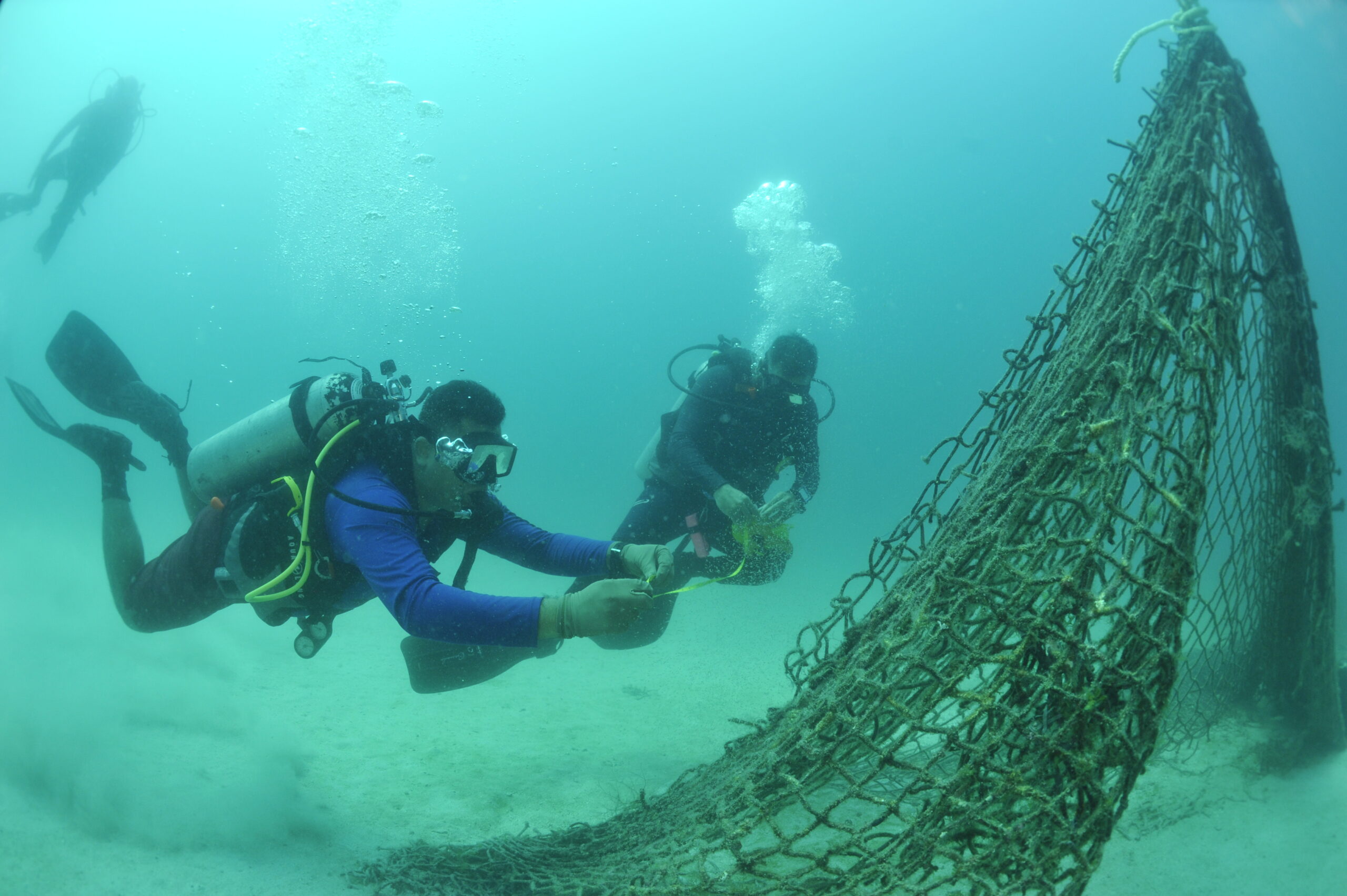 Divers remove 'ghost gear' the length of a soccer pitch from marine-protected area in Mexico ...