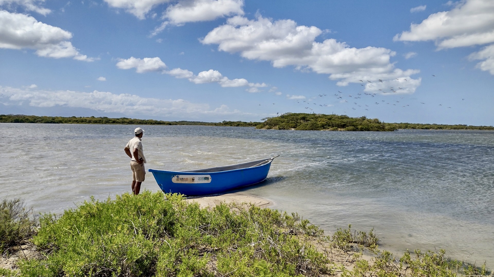 Cut to USAID funding affects rural regions of Colombia - The World from PRX