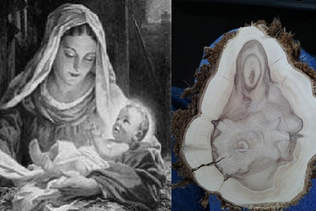 Virgin Mary in piece of wood spotted by Utah man Dean Hansen - The ...