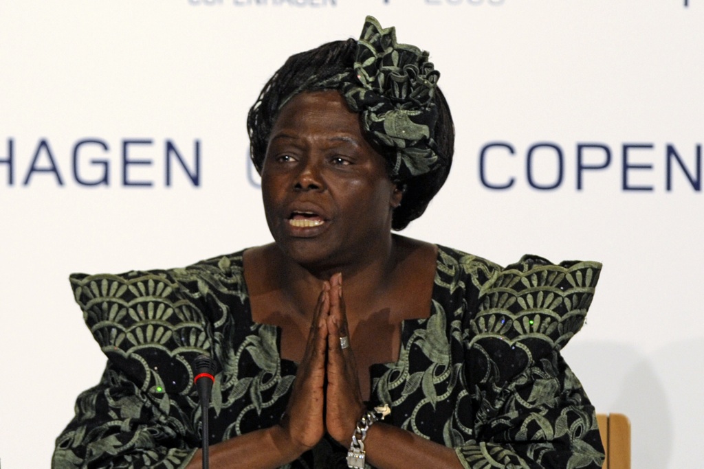 Nobel Prize winner Wangari Maathai dies - The World from PRX