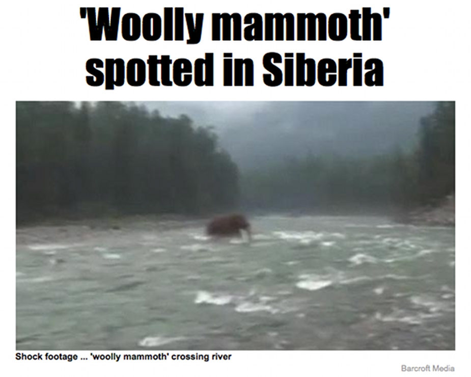 Woolly Mammoth Sightings Scientists Finally Solve The Mystery Of
