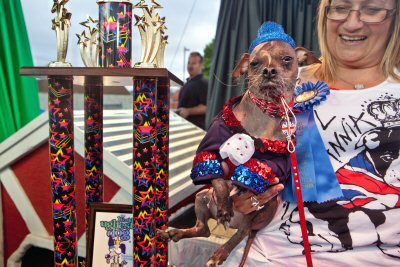 Meet Mugly, the new world's ugliest dog - The World from PRX